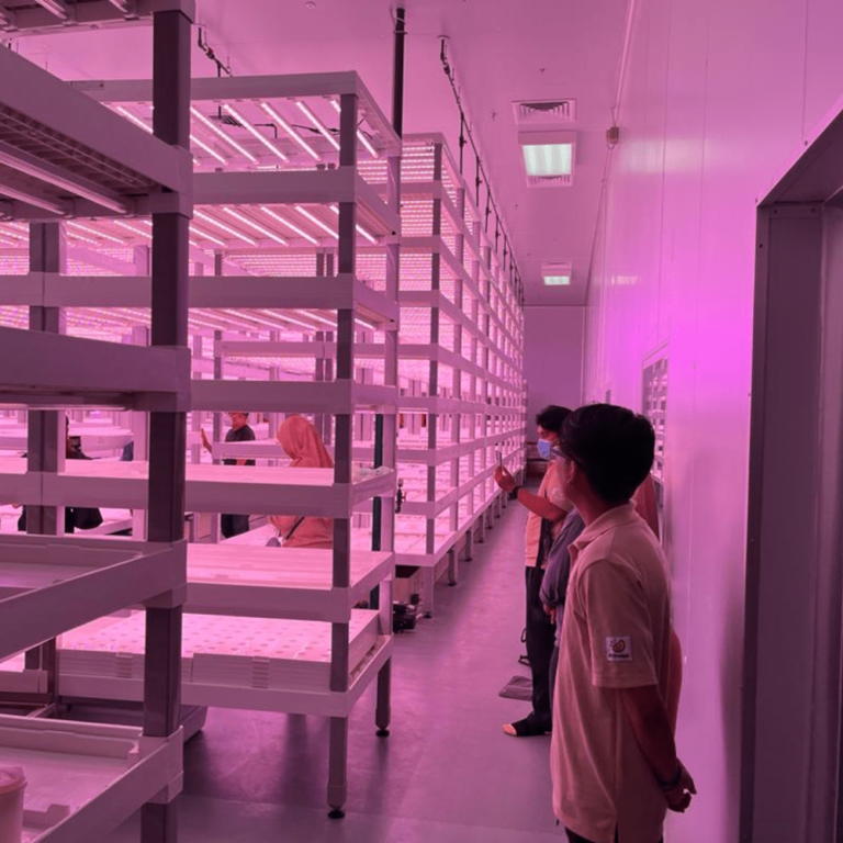 AEON ALPHA ANGLE - EZFarming - Smart Farming Solutions Provider